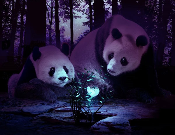 Deviantart Wallpaper Panda Art